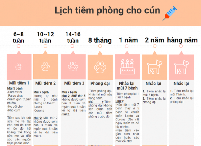 Lịch Tiêm vacxin cho chó và những điều bạn cần lưu ý